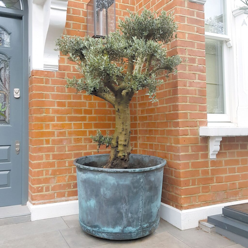 The Circular Copper Garden Planter Rolled Edge - Large | Heritage ...