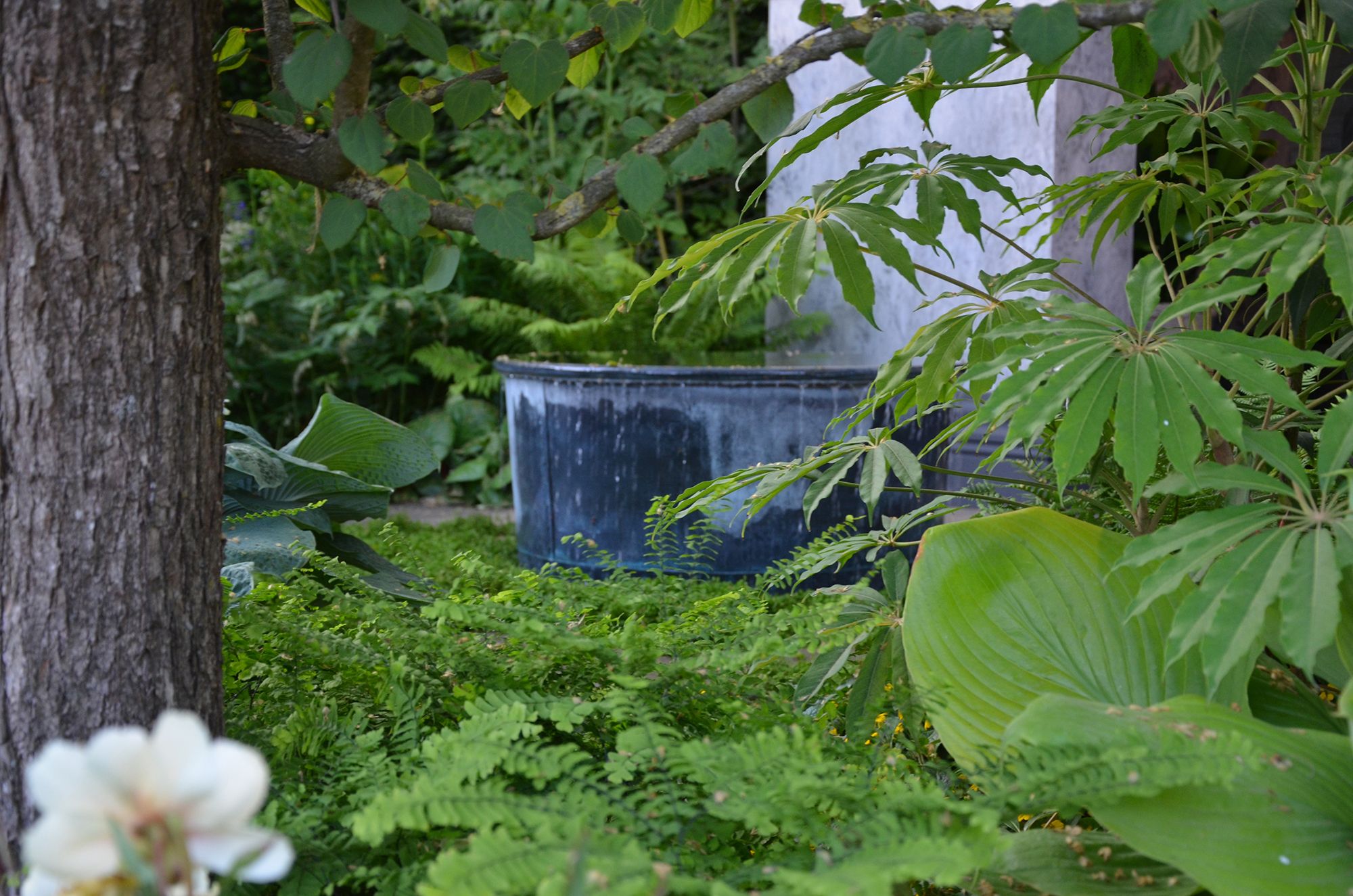 The Courtyard Copper Water Container Rolled Edge - Overflow - Small ...