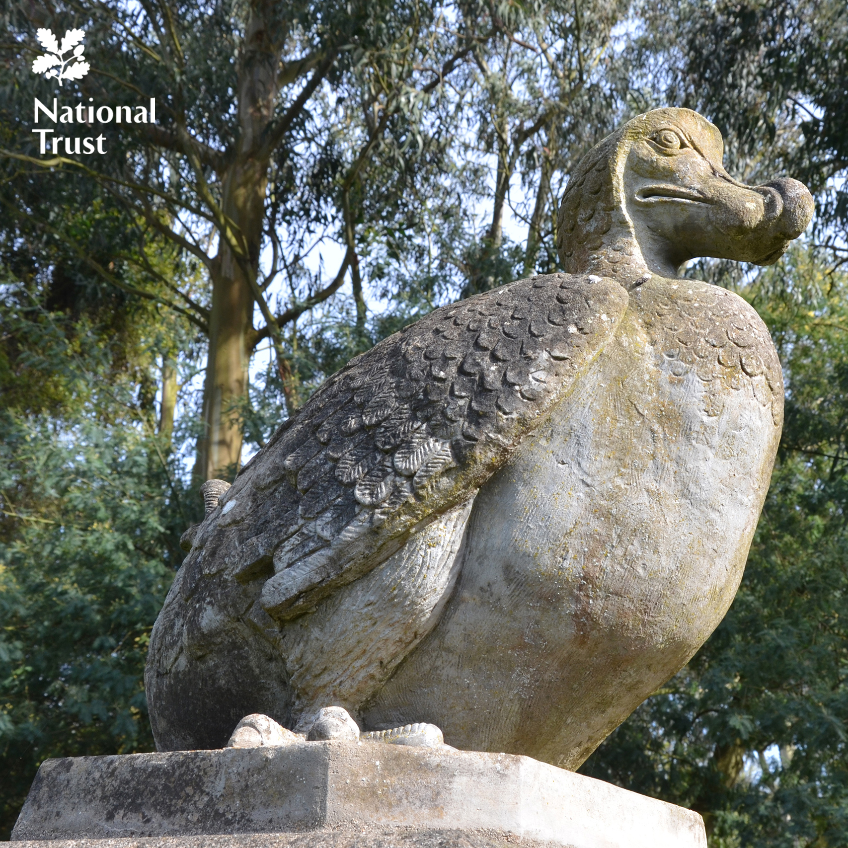 The Mount Stewart Dodo - Large | Heritage Handmade Garden Collections