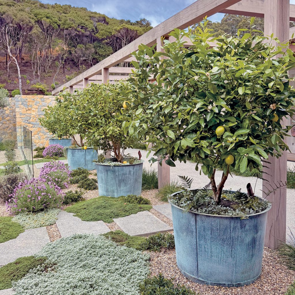 The Circular Copper Garden Planter Flat Edge - Very Large | Heritage ...