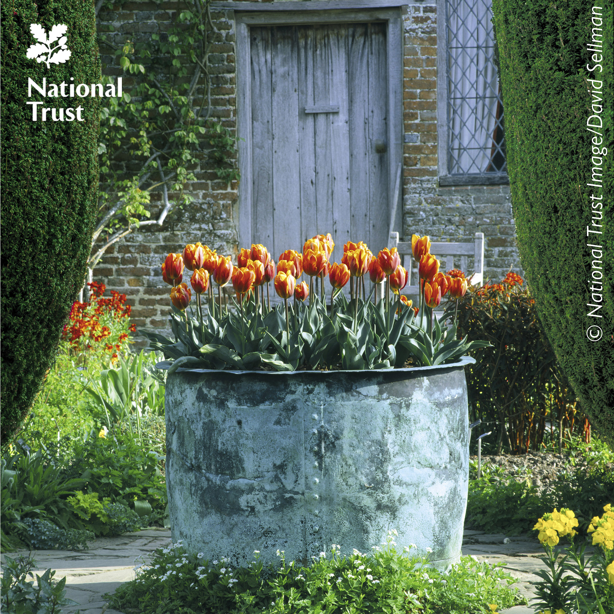 The Sissinghurst Castle Garden Copper Planter Flat Edge - Large ...