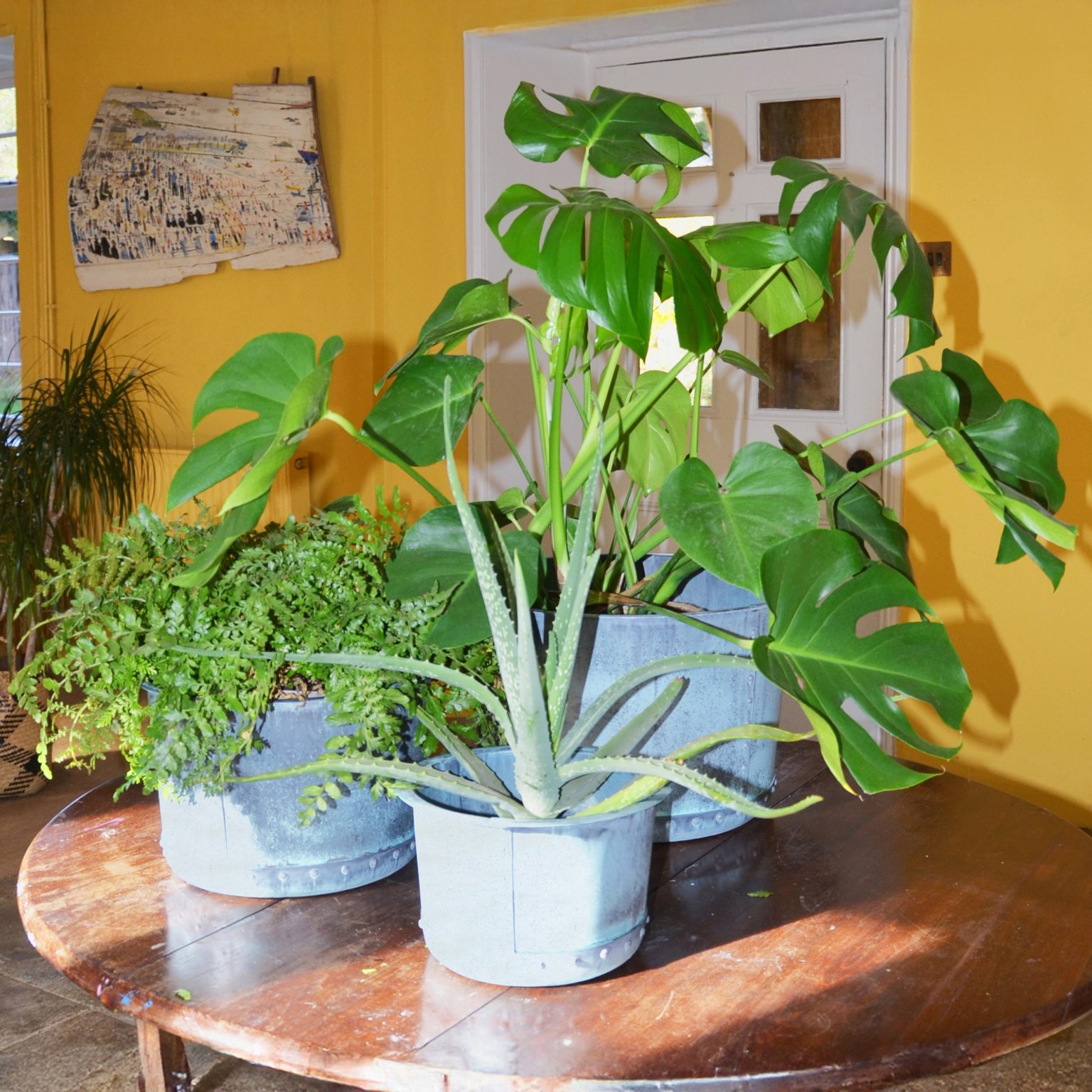 The Conservatory Copper Planters Flat Edge | Heritage Handmade Garden ...