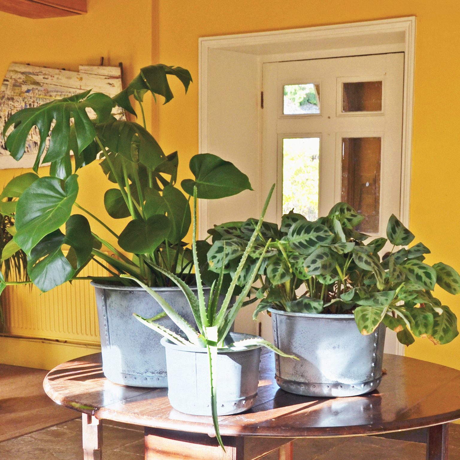 The Conservatory Copper Planters Rolled Edge | Heritage Handmade Garden ...